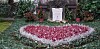 Ohlsdorfer Friedhof: Deshalb schmücken besonders viele Blumen derzeit ...