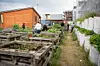 Doppelt nachhaltig: „Stadtgemüse“: Integratives Farmprojekt erobert ...