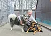 Asyl im Tierzentrum: Wo ukrainische Hunde in Hamburg ein neues Zuhause ...