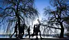 Wetter in Hamburg: Bis zu 15 Grad! Jetzt kommt der Frühling! | MOPO